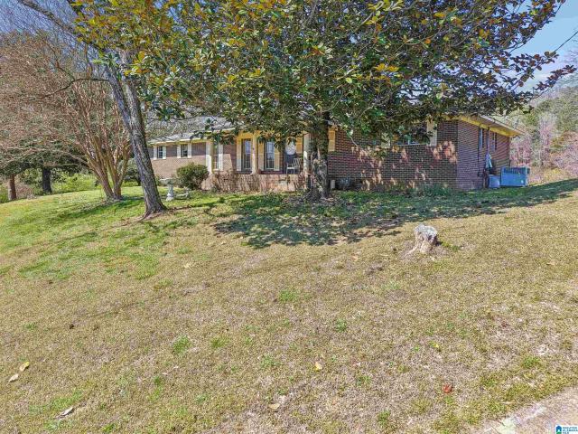 81 Clark Drive