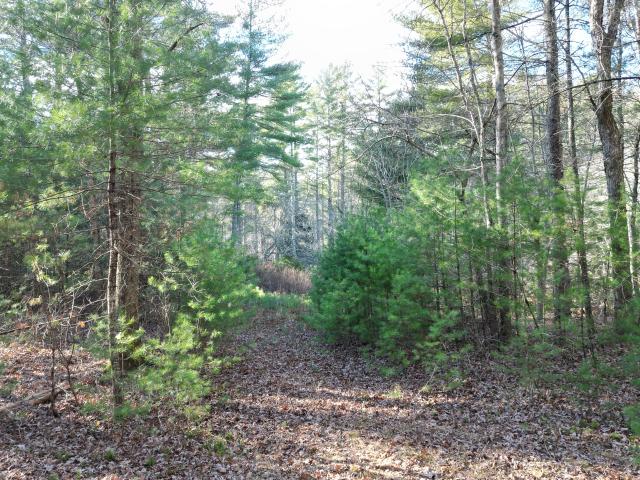 81 Deerfield Dr, Sterling, CT 06373 | MLS #24142