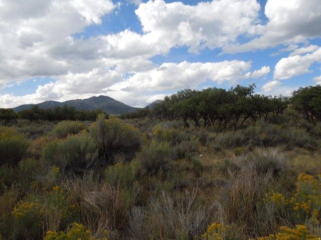 81 E Spring Draw Dr Unit 5, La Sal, UT 84530