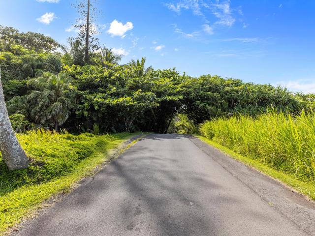 81 Government Beach Rd, Lot 81, Pahoa, HI 96778 | MLS #720542 | Compass