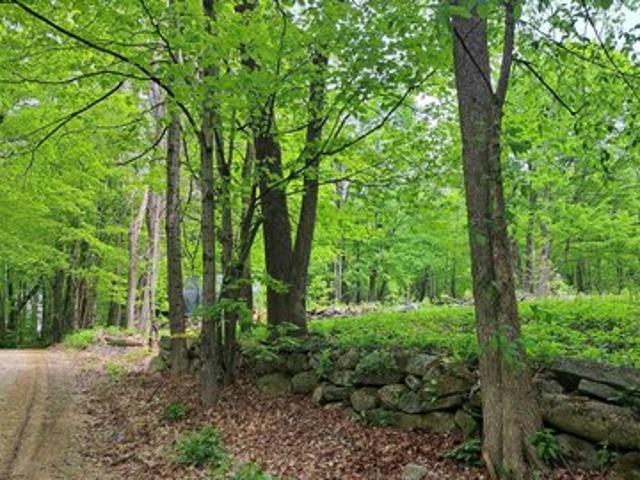 81 Hart Farm Rd, Deering, NH 03244