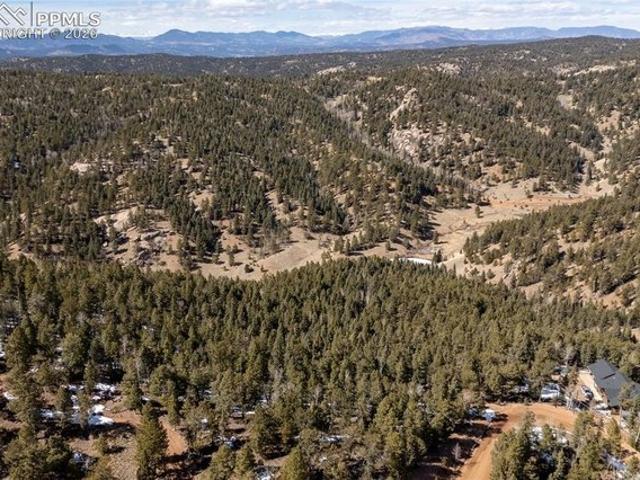 81 Haven Rd, Divide, CO 80814