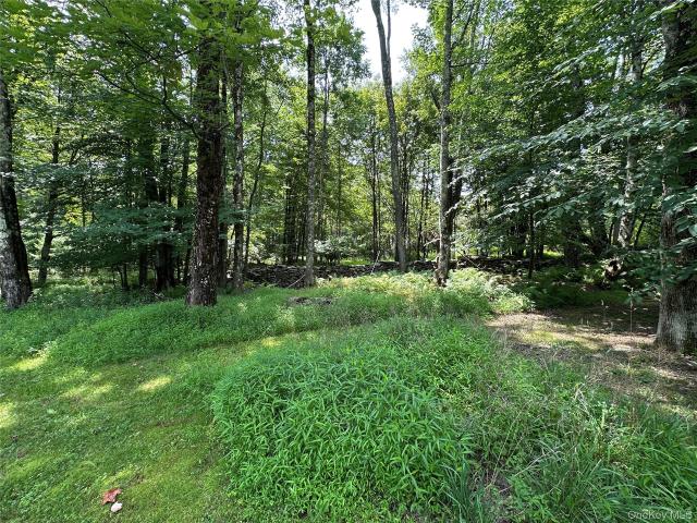 81 Lindholm Road