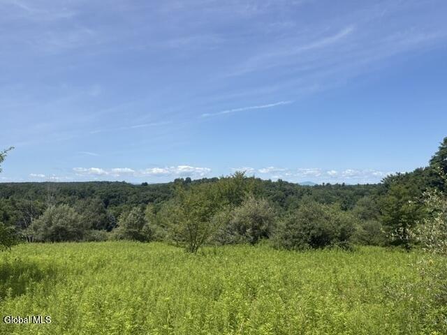 81 Maiers Rd, Taghkanic, NY 12521