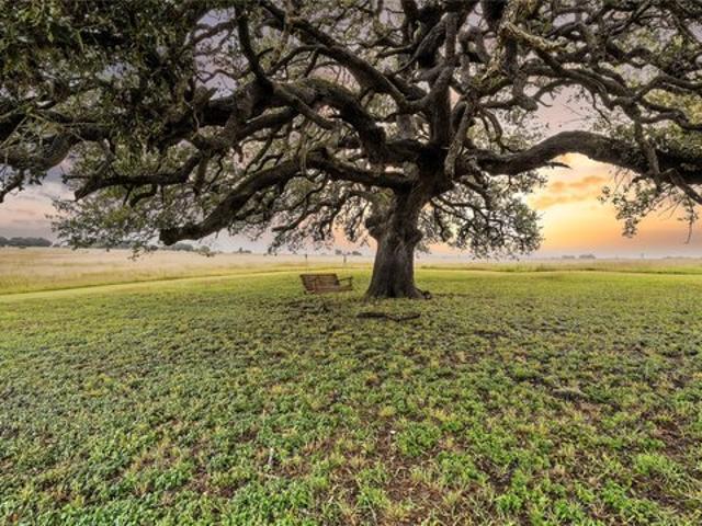 81 Private Road 3095, Shiner, TX 77984