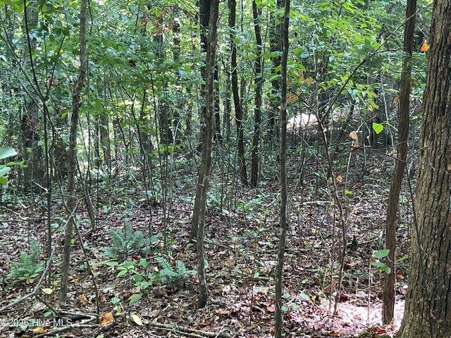 81A 82A Licklog Rd Lot 81A82, Hayesville, NC 28904