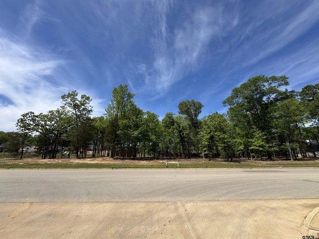 8205 and 8061 Hollytree Dr, Tyler, TX 75703