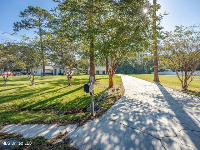 8208 Martin Bluff Road