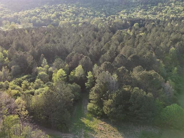 8200 Owls Hollow Road