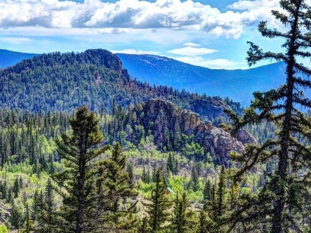 820 Overland Cir Lot 312, Jefferson, CO 80456