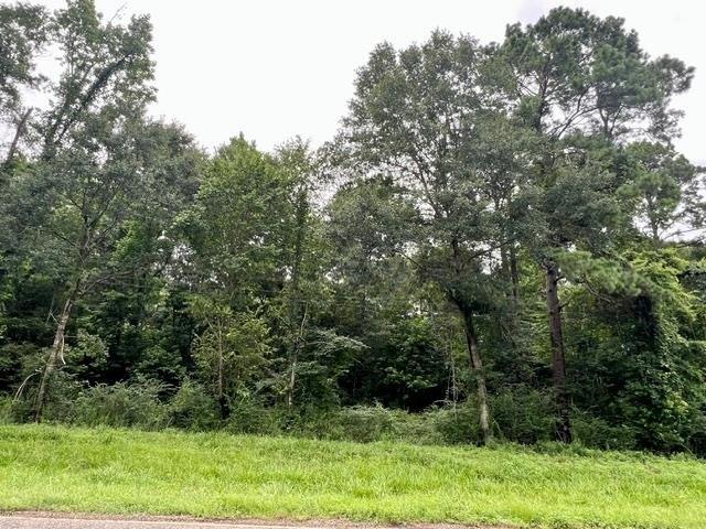 820 State Highway 21, Milam, TX 75959