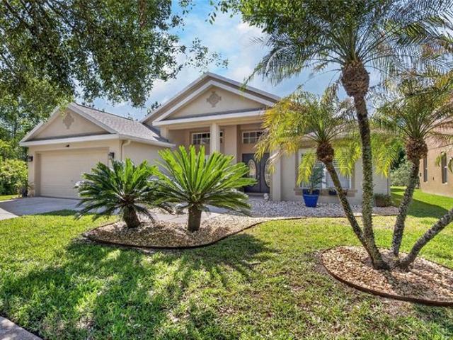 8215 Myrtle Point Way, Tampa, FL 33647