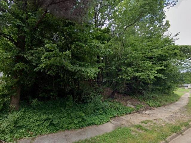 8215 shady fern cv