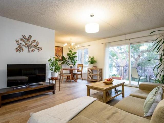821 N Humboldt St 314, San Mateo, CA 94401