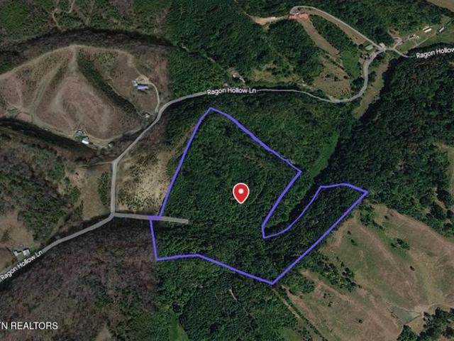 821 Ragon Hollow Ln, Midway, TN 37809