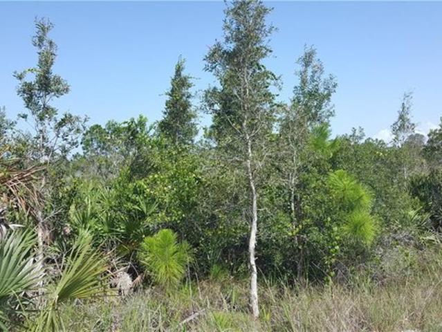 8224 Acorn Blvd, Punta Gorda, FL 33982