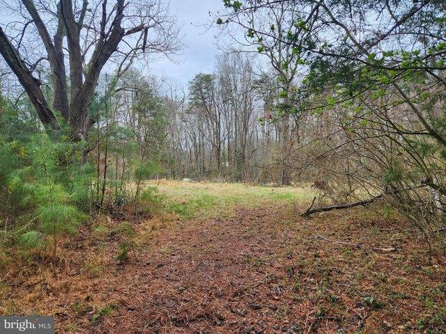 8228 Flippo Dr, Fredericksburg, VA 22408