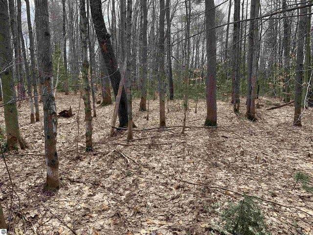 8222 NE Bass Ave Lot 7, Kalkaska, MI 49646