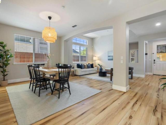822 Shasta Daisy Dr