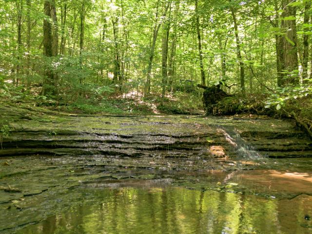 8234 Old Pond Creek Rd