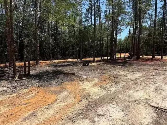 8231 EVANS RD, CHUNCHULA, AL 36521