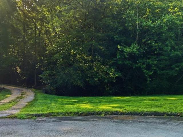 8231 Rolling Stone Ln, Ooltewah, TN 37363