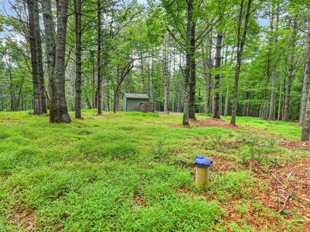 823 Marian Rd, Dugspur, VA 24325