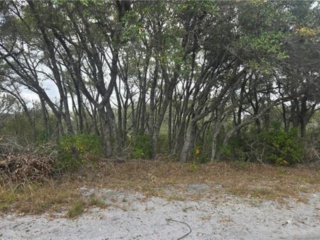 824 Alcala Dr Lot 25, Aransas Pass, TX 78336