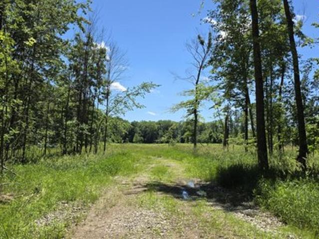 8250 14 Mile Rd NE, Cedar Springs, MI 49319
