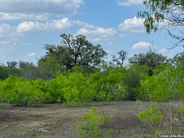 8251 County Road 106