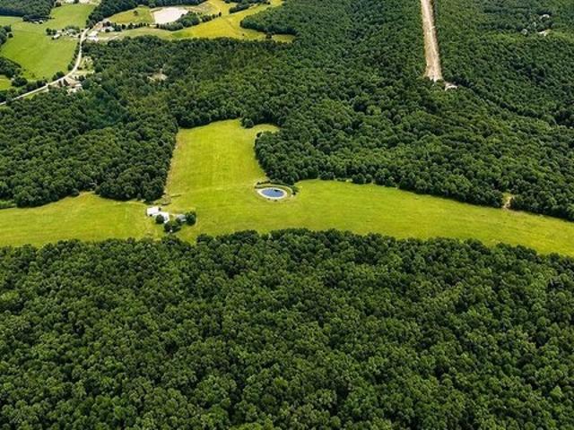 8253 Jackson School Rd, Bloomsdale, MO 63627
