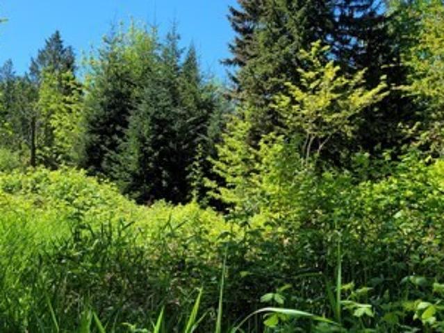 825 99th Ave SE, Lake Stevens, WA 98258 | MLS #2506 | Compass