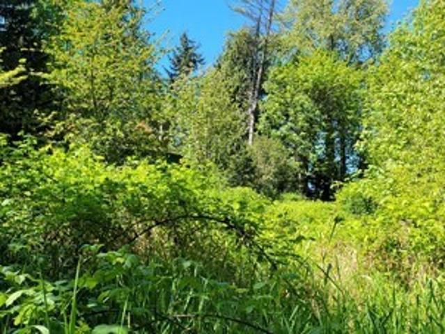 825 99th Ave SE, Lake Stevens, WA 98258 | MLS #2500 | Compass