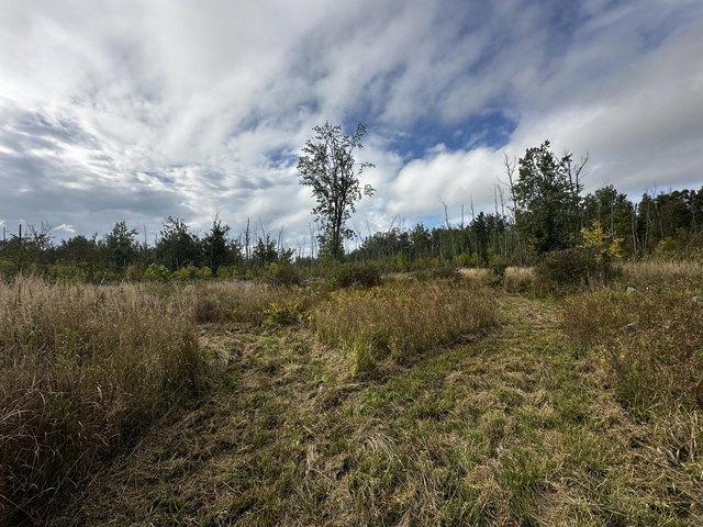 8265 Gutchess Rd, Alpena, MI 49707