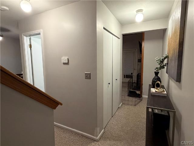 8269 Honeysuckle Drive