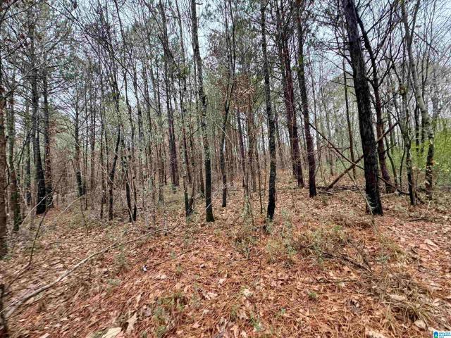 8260 Kermit Johnson Road # 1, 2, 3, 3B