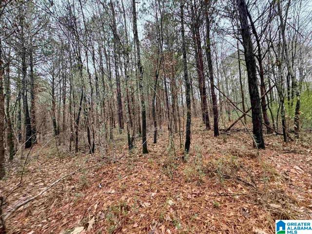 8260 Kermit Johnson Road # 2