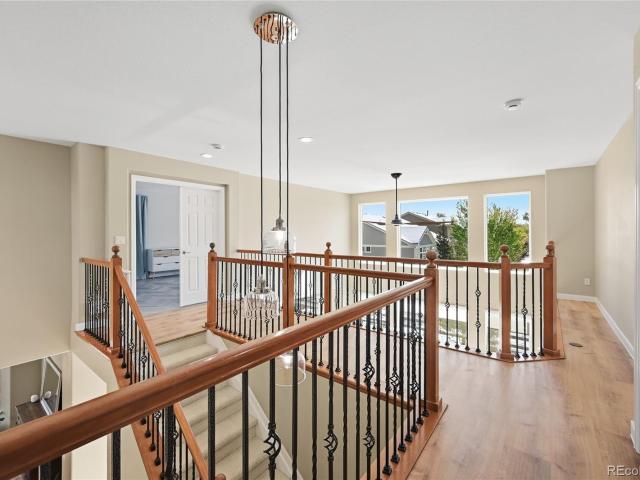 8262 Dressage Rd, Littleton, CO 80125 | MLS #5425