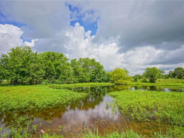 8263 County Road 179