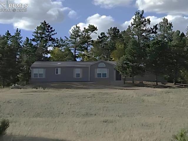826 Chipeta Creek Trl, Florissant, CO 80816