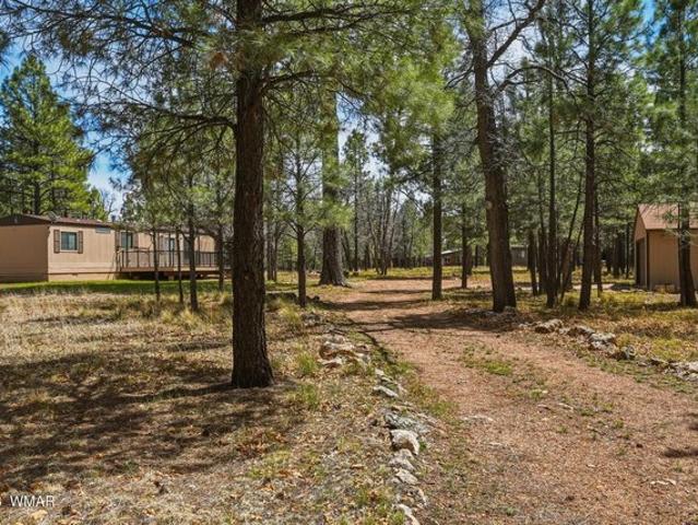 826 Jacks Canyon Dr, Happy Jack, AZ 86024