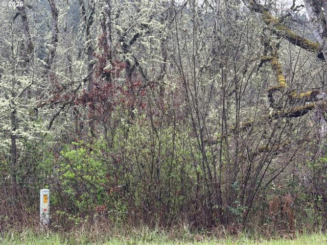 82750 bear creek rd
