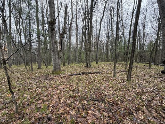 8278 Highland Trail