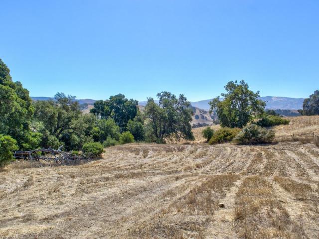8272 Sassafras Court