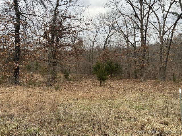 8272 Spirit Ln, Gravois Mills, MO 65037 | MLS #3580