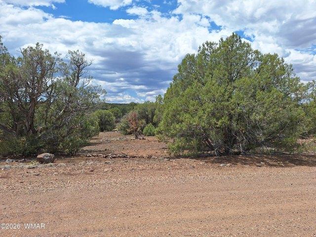 8273 Ridge Dr, Show Low, AZ 85901