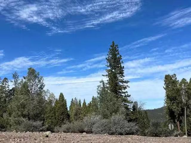 827 Buckthorn, Murphys, CA 95247 648675622