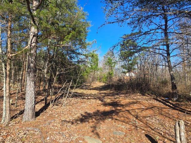 827 Dale Trail