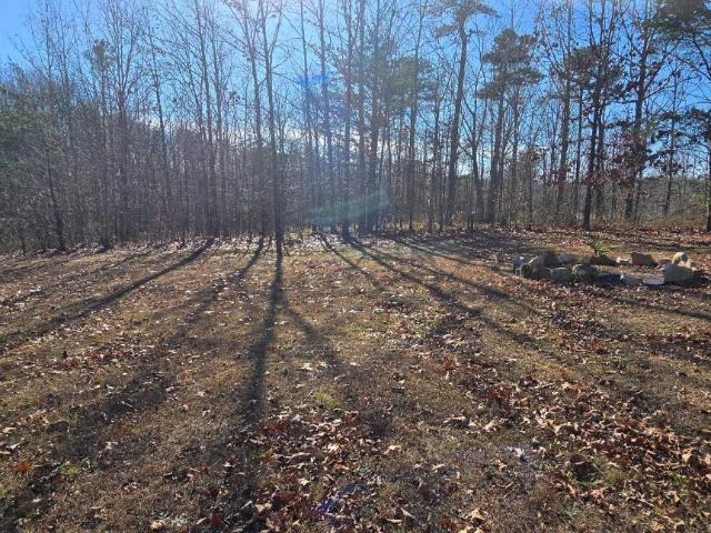 827 Dale Trail, Cloudland, GA 30731 | MLS #1525 | Compass