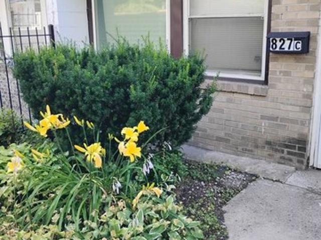 827 E 48th St Apt C, Chicago, IL 60615